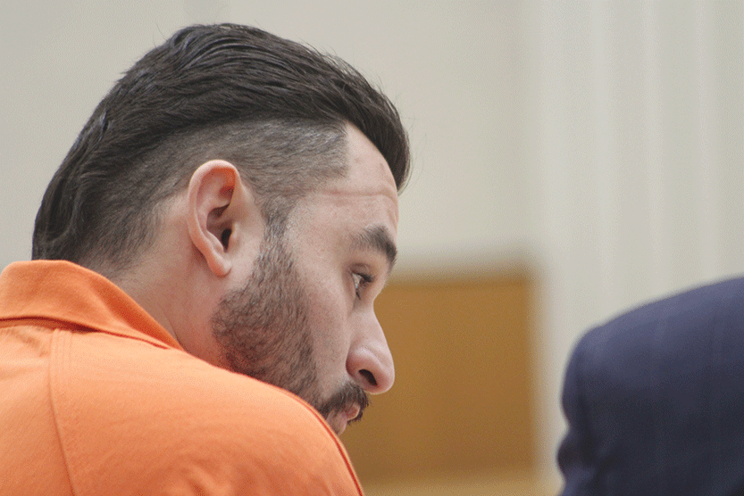 Guilty plea to child, animal abuse | News, Sports, Jobs - Daily Press